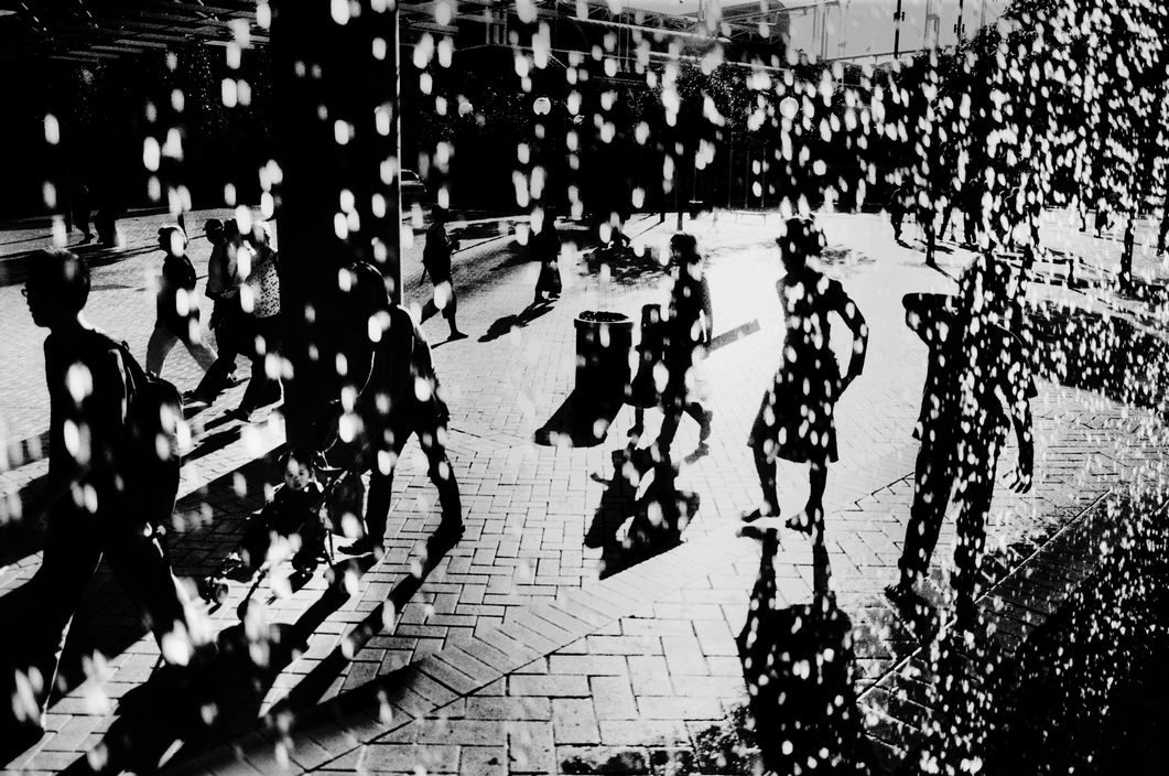 Master Profiles: Trent Parke - Shooter Files by f.d. walker